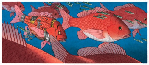 David Wiesner – Author & Artist